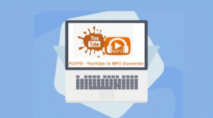 FLVTO - The Evolution of Online Media Conversion!